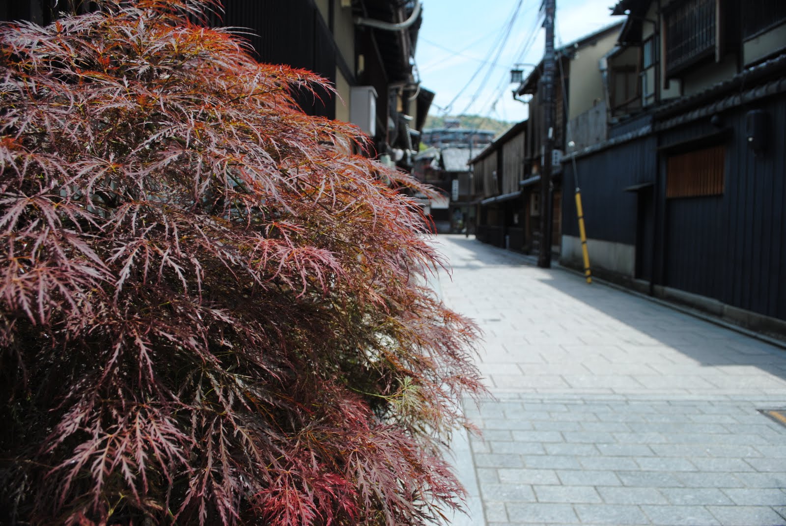 Lesley-Ann in Japan 日本: Day 77: Nishiki Market, Kiyozumi dera & Zen gardens