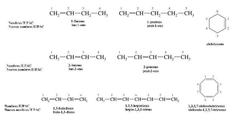 Quimica Organica: Alquenos y Alquinos.