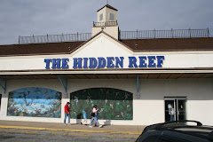 The Hidden Reef: Big Sales at The Hidden Reef