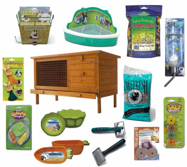 The Rabbit Club: Bunny Checklist