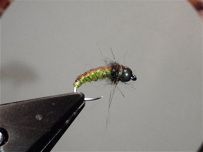 The Jersey Angler: Polish Woven Nymph