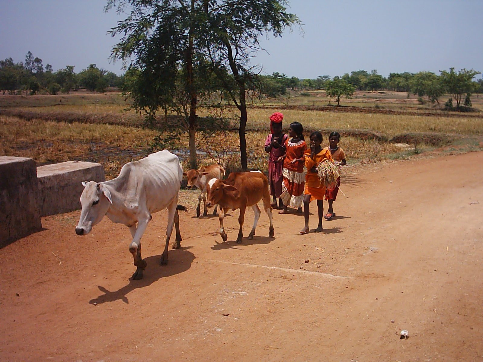Kalahandia: When the Image Speaks for itself in Kalahandi