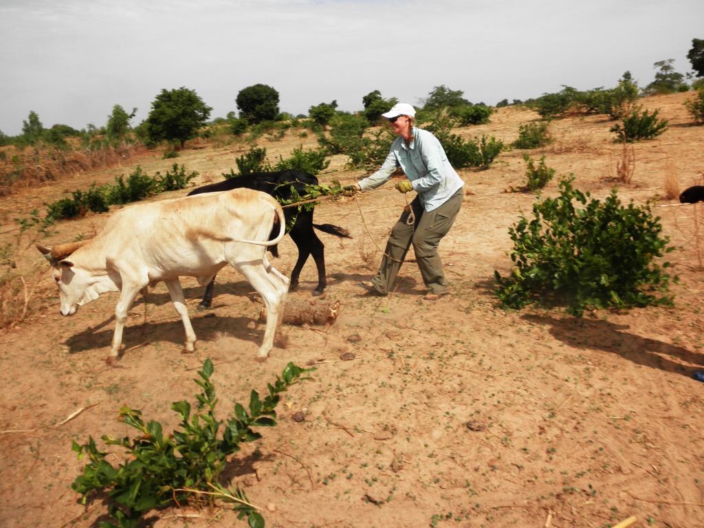 Agent Stoermer in Senegal: Farming in the bush