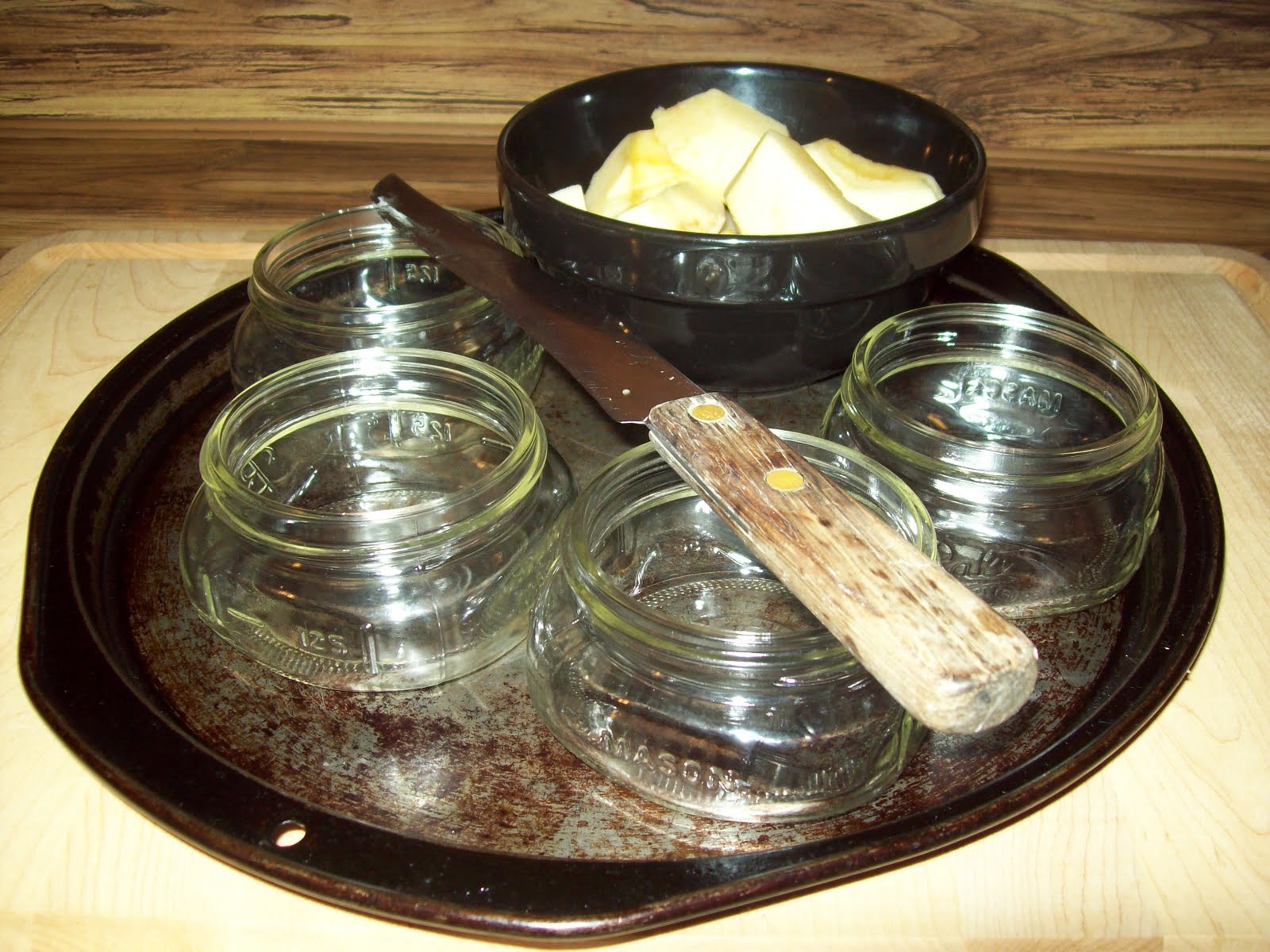 A Primitive Homestead: A New Visitor & Homestead Cooking