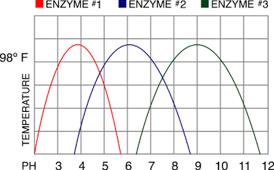 BIOLOGY ORDINARY LEVEL NOTES: ENZYMES AND pH