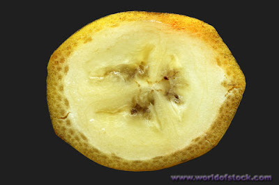 BIOLOGY ORDINARY LEVEL NOTES: BIOLOGICAL DRAWING OF BANANA (CROSS SECTION)