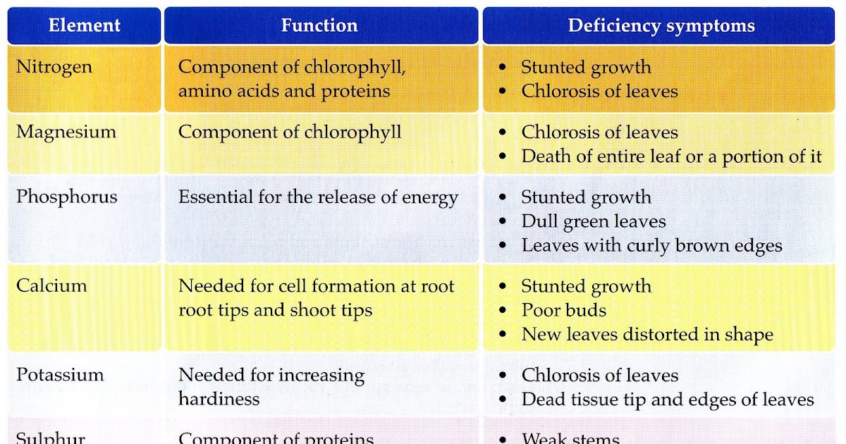 BIOLOGY ORDINARY LEVEL NOTES: PLANT NUTRITION PART 13: MINERAL NUTRITION