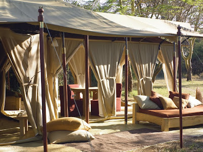 Dwellers Without Decorators: Glamping how fabulous!