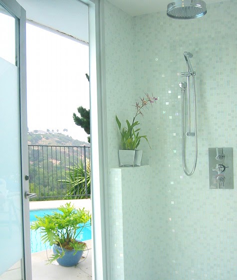 {shell & seaglass}: {seashell shower}