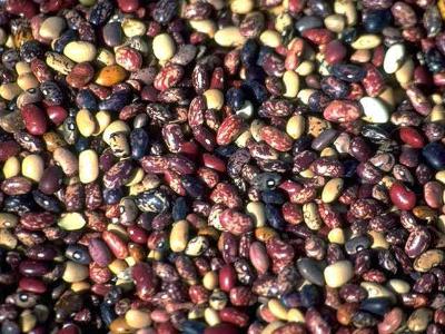 Mary Kunz Goldman: October 2010