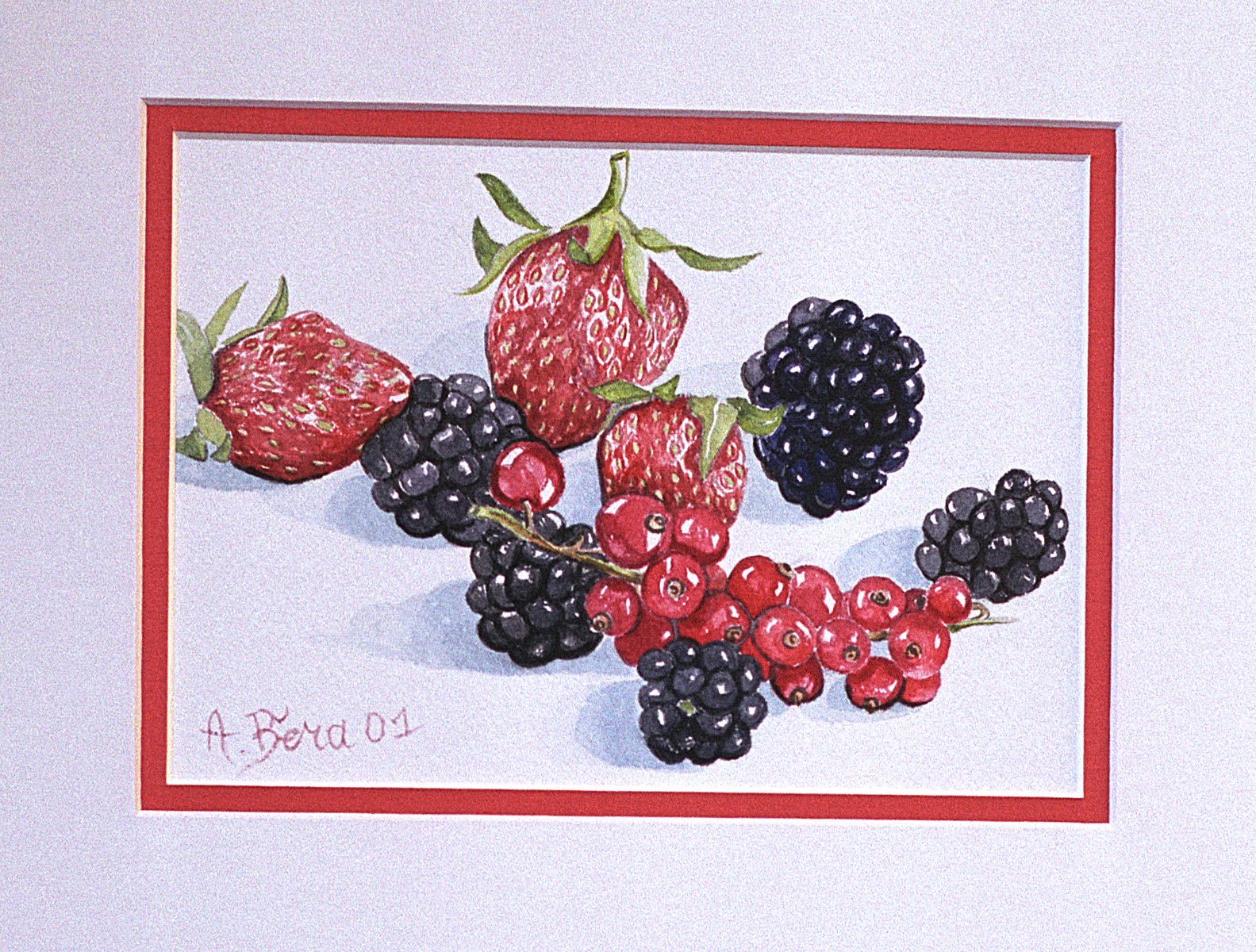 Aquarelles: Fruits rouges