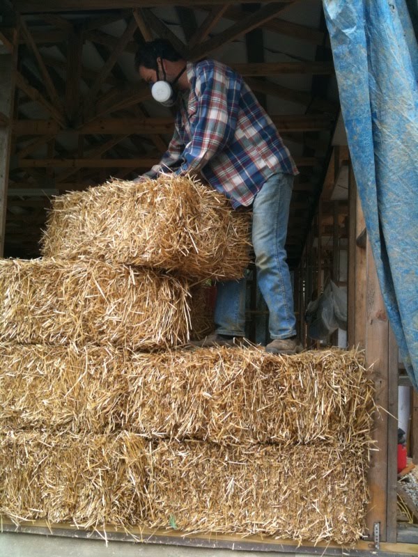 Straw Bale Retreat: Stacking bales!