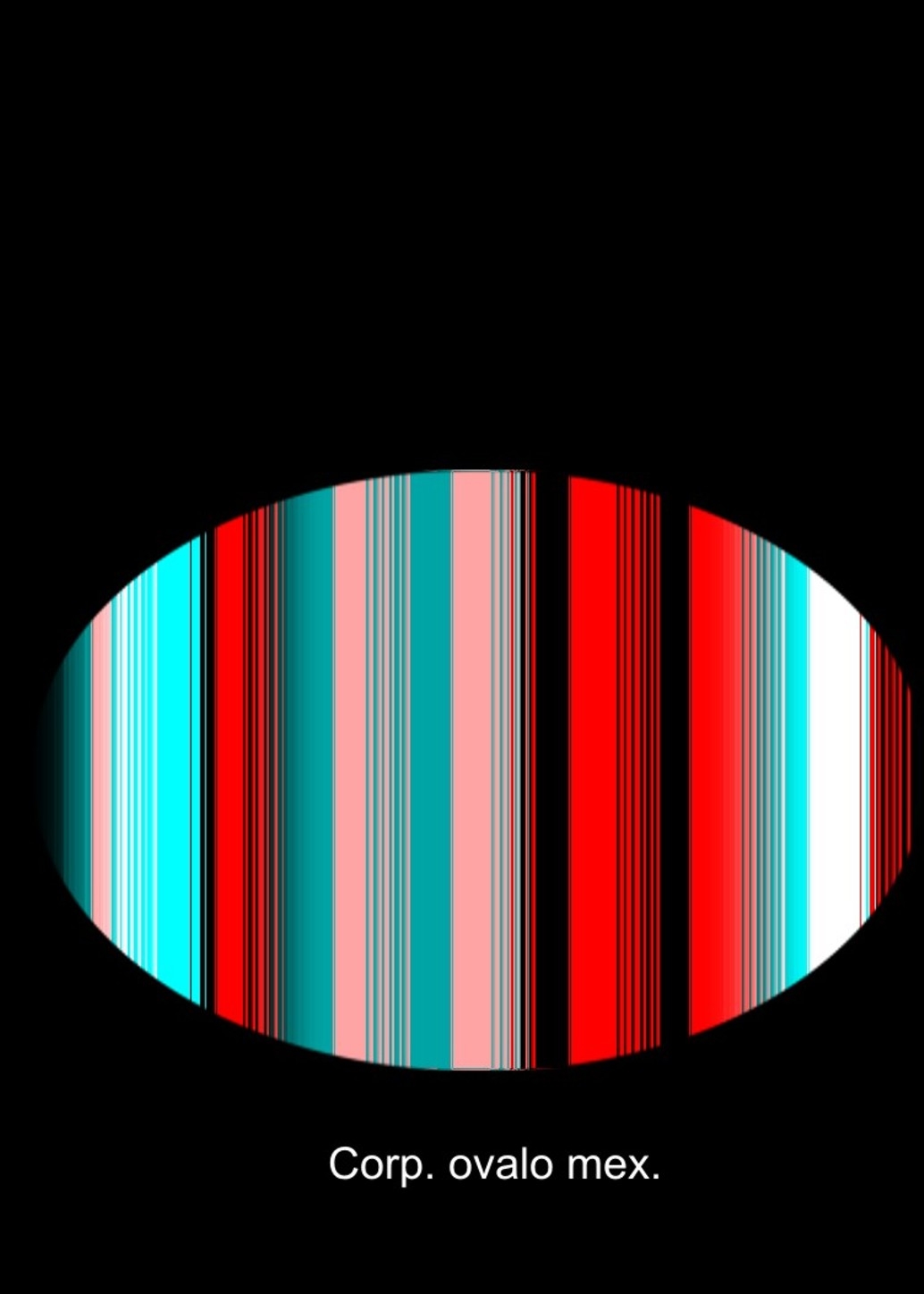 CORP OVALO MEX: CORP. OVALO MEX.
