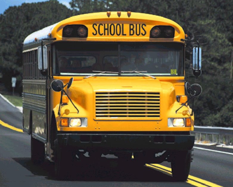 Autobuses Escolares Usados: Venta de Buses Escolares a toda Centro América