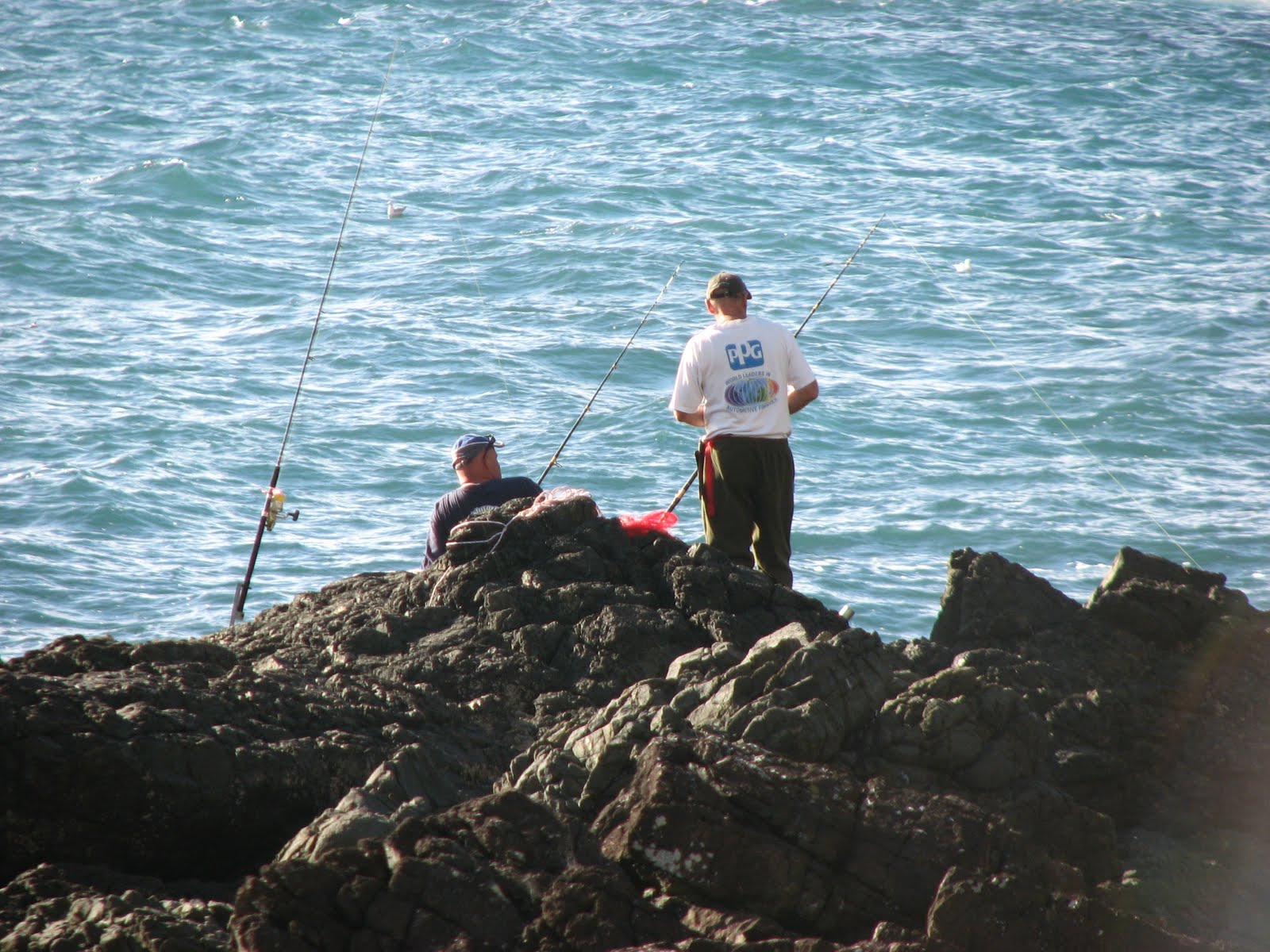 Gazebo Fishing: Cape Runaway Cricket trip 28.04-02.05.10
