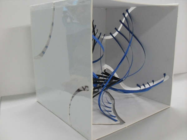 ~~ Poly Life ~~: Mood Box