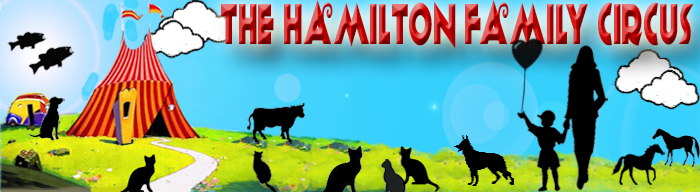 Hamilton Family Circus: August 2005