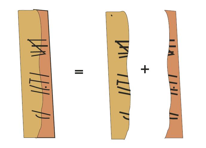 Science of Mathematics: The Evolution of Mathematics, and the ...