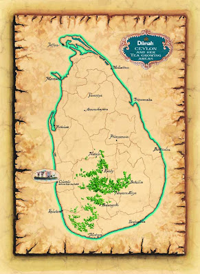 Beautiful Sri lanka: Pure Ceylon Tea