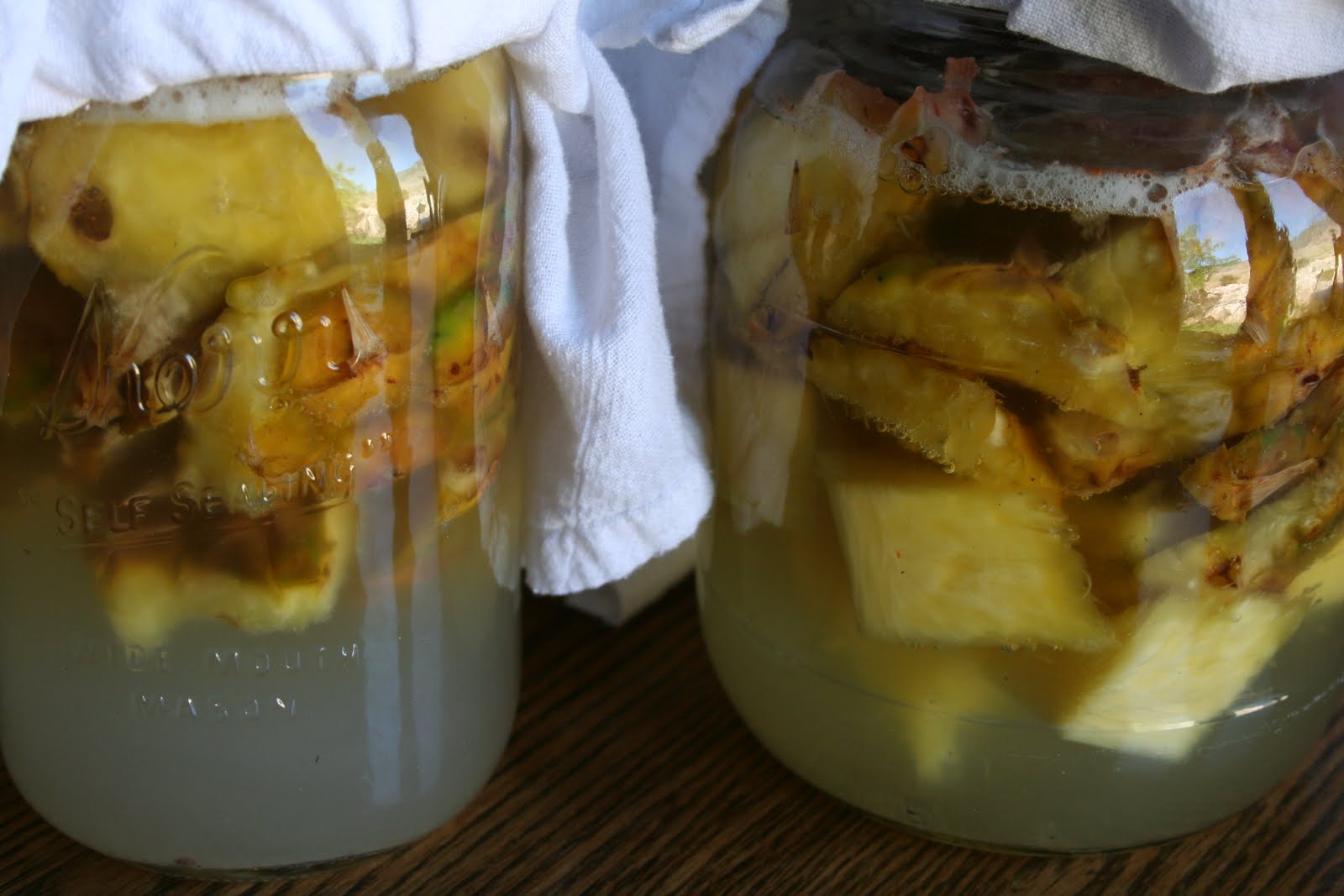 Making Vinegar | Momzoo