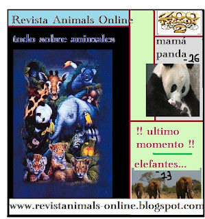 revista animals
