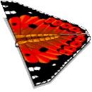 Origami n' Stuff 4 Kids: Kamehameha Butterfly Origami (Pulelehua)