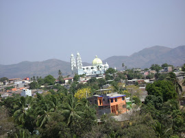 Nos Guía la Tecnologia, Nos Impulsa el ser Humano: LA IGUANA DESAPARECE ...