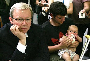 கங்காரு, கொவாலாவும் காஞ்ச புல்லும்