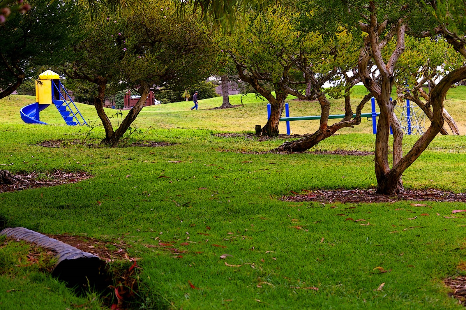 Levonne's Pretty Pics: A Walk in Del Mar Park