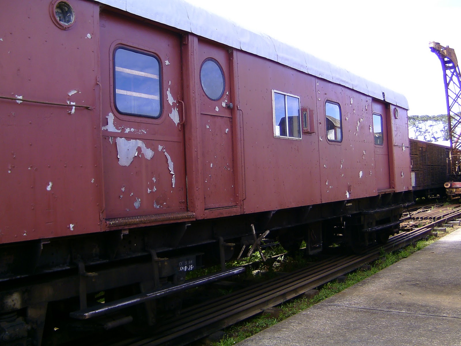 Craig's Shed: Dorrigo - Guards Vans