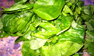 Love & Lentil: Palak Paneer