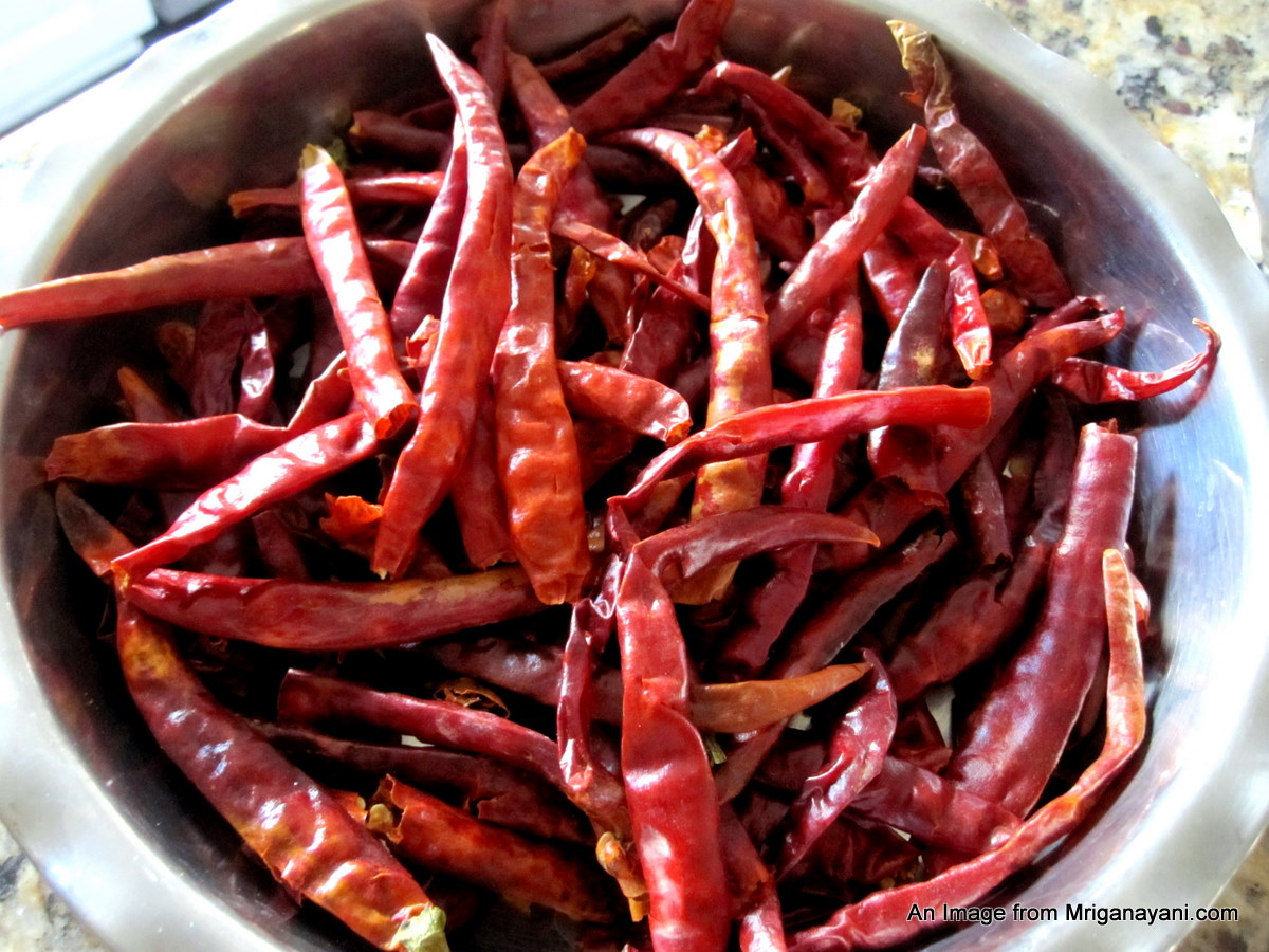 Love & Lentil: Gun Powder!