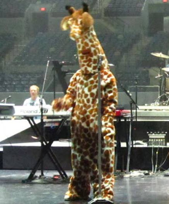 Disney Channel y Más...: Joe Jonas disfrazado de Jirafa