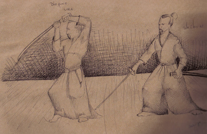 aikido dojo masakatsu: aikido con sensei musashi