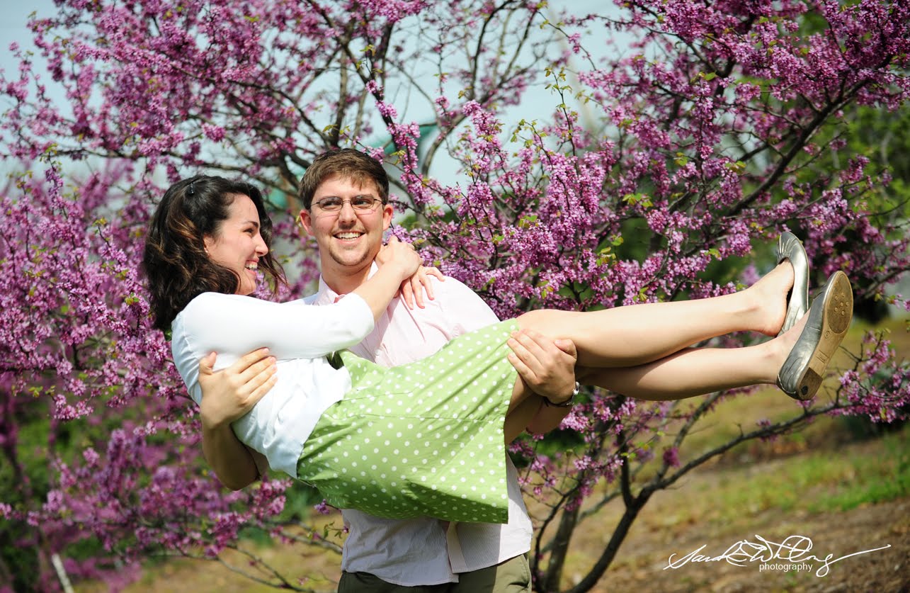 Whitmeyer Photography Blog: The Seibert Family