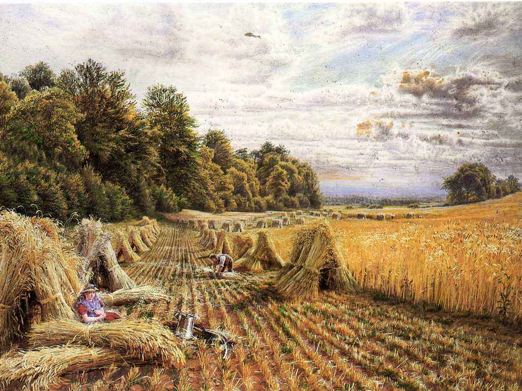 British Art: Edmund George Warren - Amongst the Corn Stooks