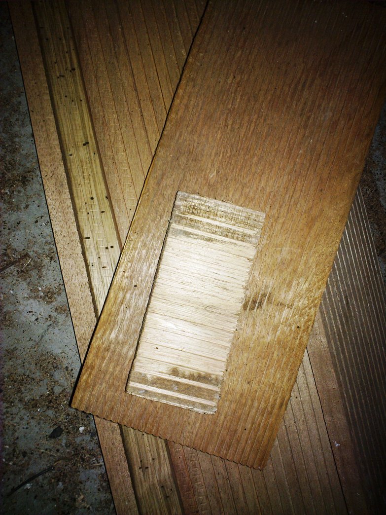 LIFE IN DIGITAL COLOUR: The Best Swiftlets House Design - Part 1