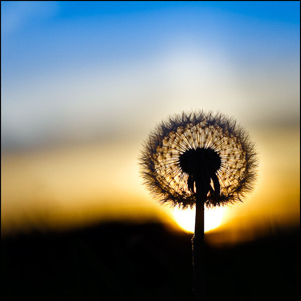 Weekly Photography Tips: September 2010