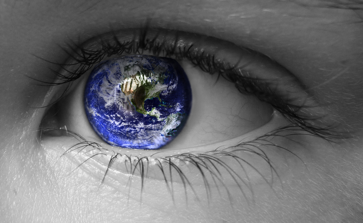 The Fridge: A Different View of the World by Jordan S.