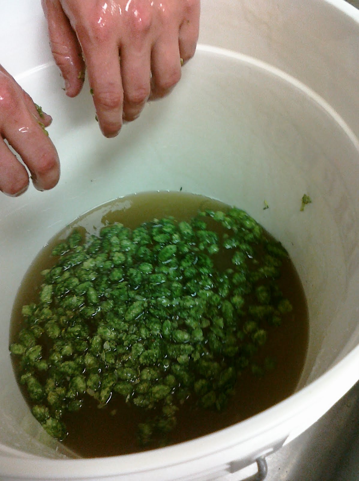 Organic Flailing: MEVY Diet, Day 10 and some canning boasting