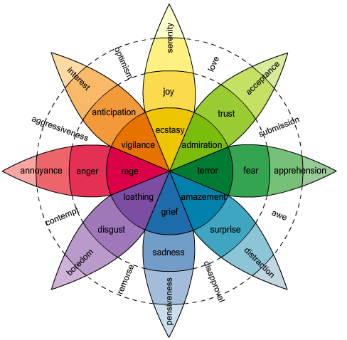 The Role Emotions Play in the Change Process: The principles of ...