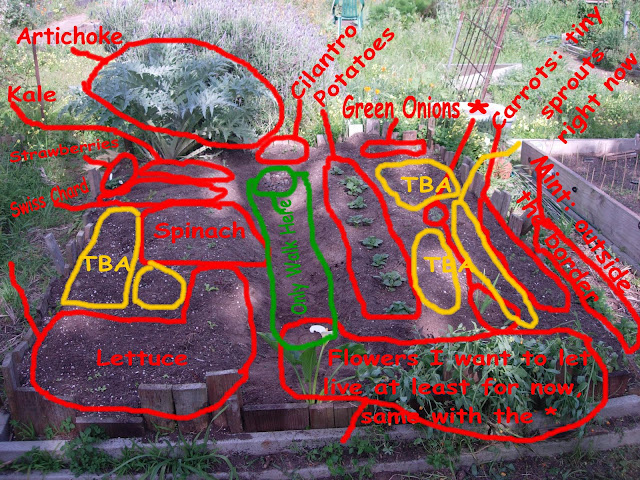 Sojo Community Garden Plot: Garden Map, Sprout Identification