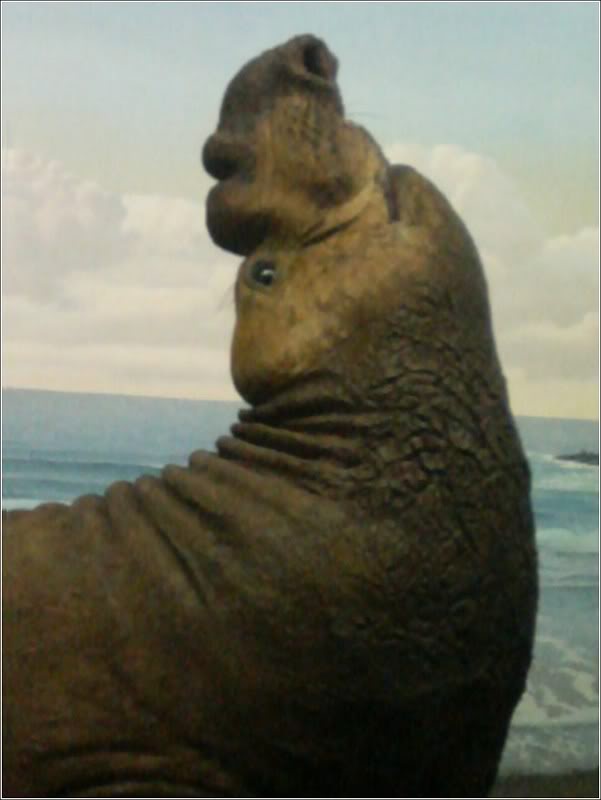 Kelly's Paranormal Page: White River Monster