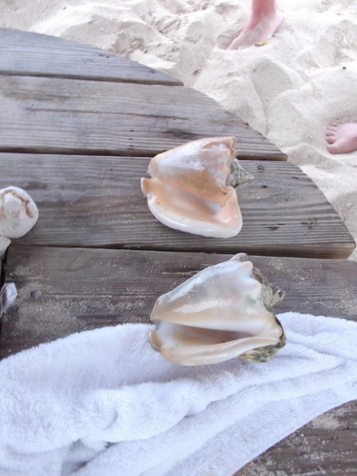 The Lives of the Jacksons: St. Maarten: Pinel Island & Cleaning Of The ...