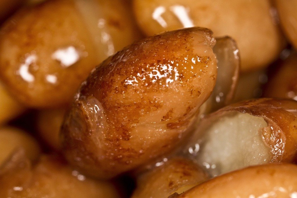 Macro Photo Facts: Pinto Beans