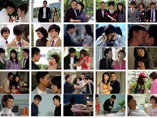 List of Hong Kong TVB Drama: Growing Through Life 摘星之旅