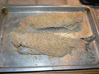 In the Kitchen with Jenny: Catfish Parmesan