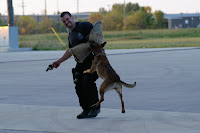 Working Police K9's: K9 Decoys/Quarries