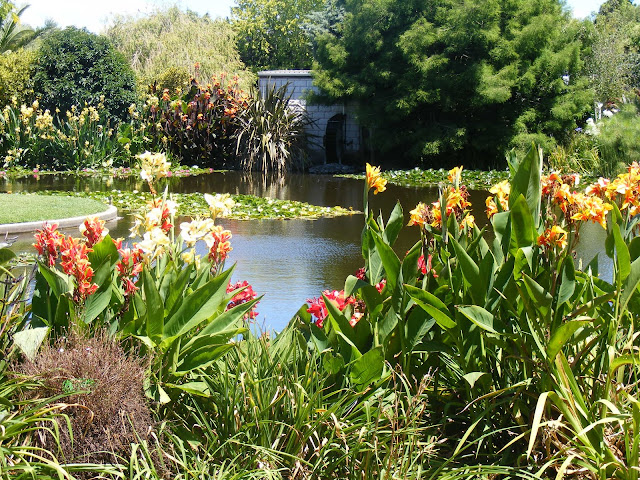 my views of New Zealand: Ngatea water gardens (holiday part4)