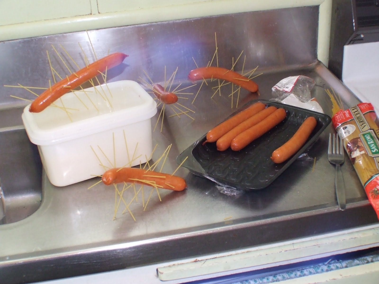 my views of New Zealand: hairy hot dogs!